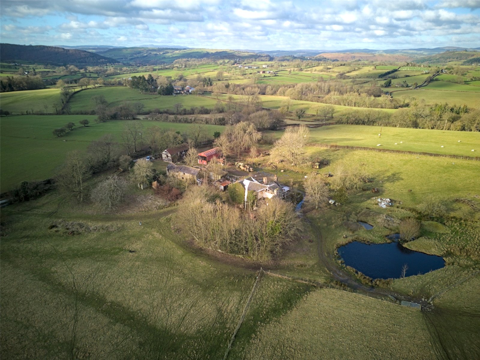 Brynglas Hall Farm, Llanfair Caereinion - Balfours